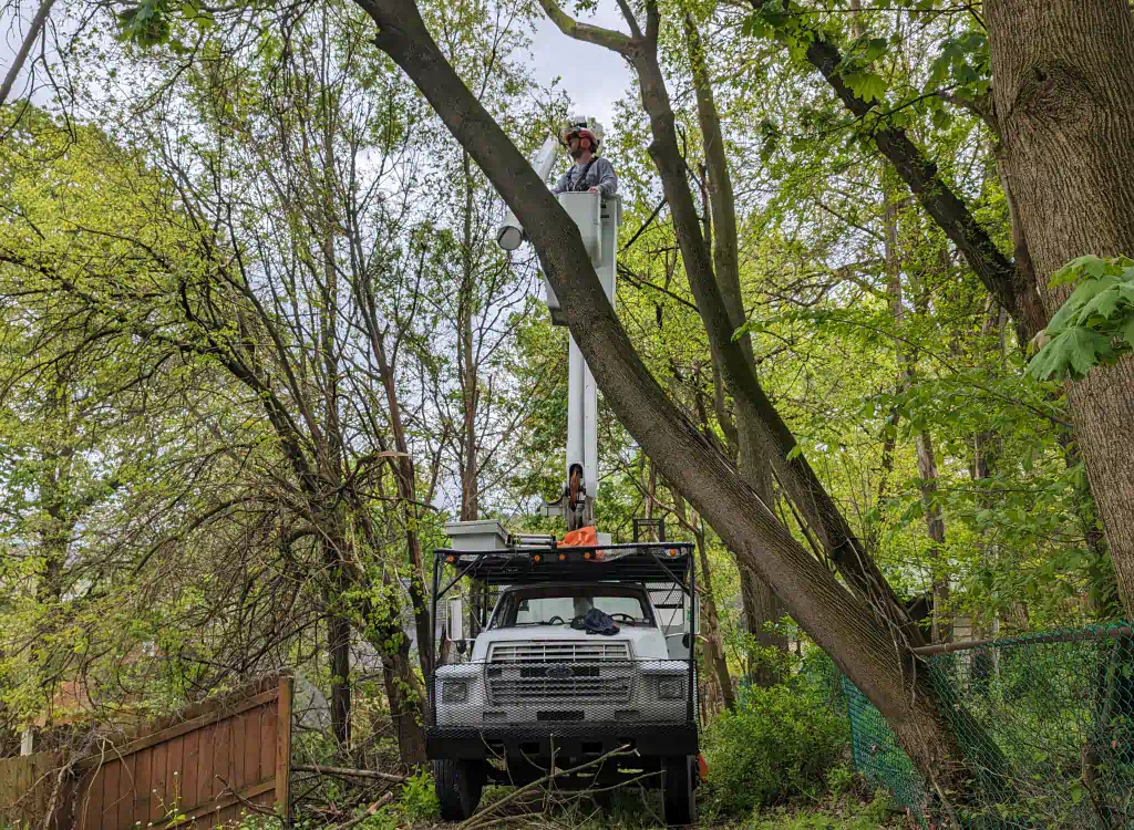 Emergency Tree Removal Pittsburgh, PA | Free Estimates Available